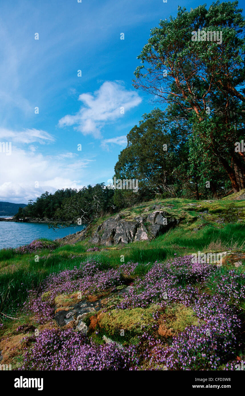 Gulf islands national parks reserve hi-res stock photography and images ...