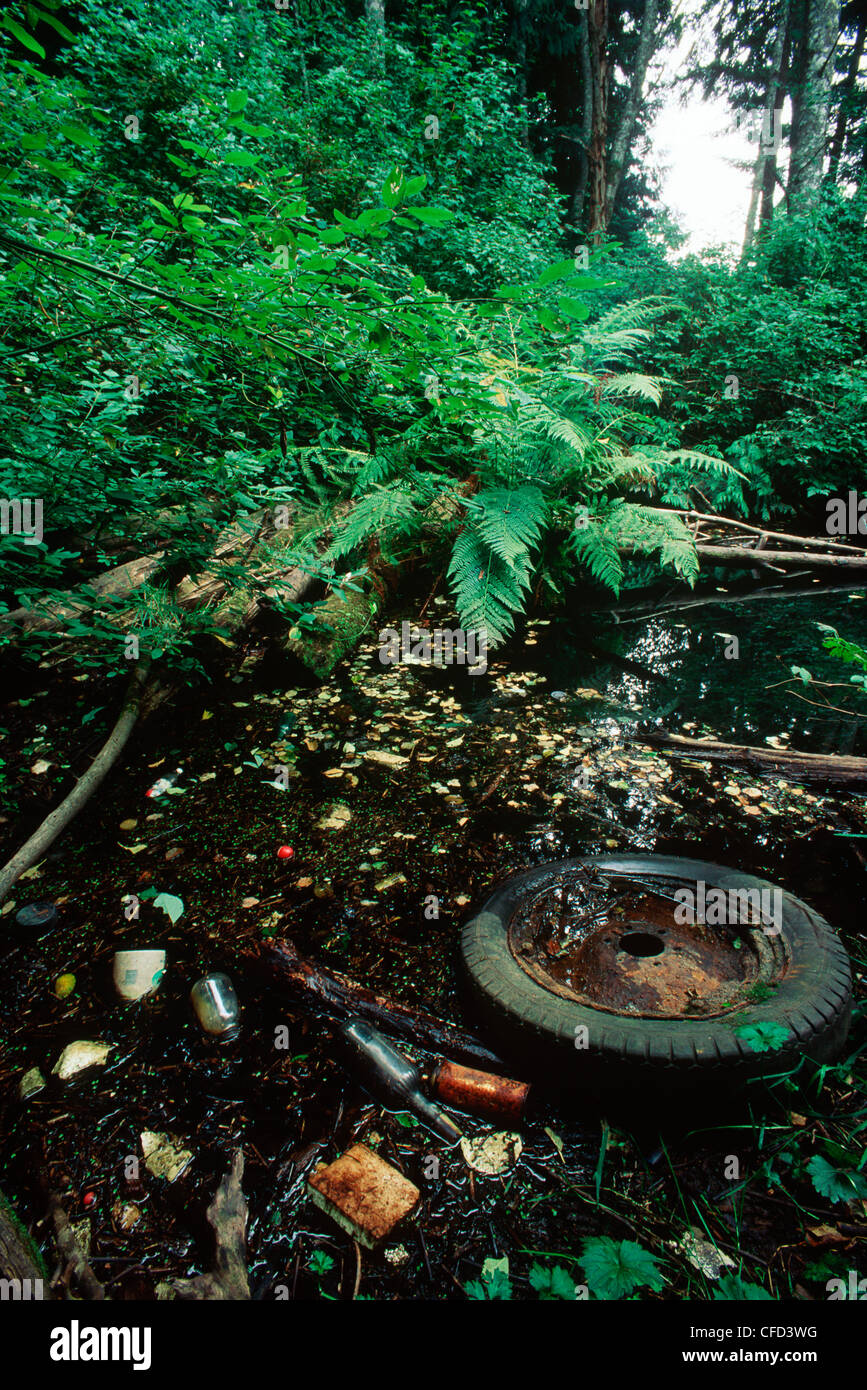 Pollution - urban litter in small creek, British Columbia, Canada Stock ...