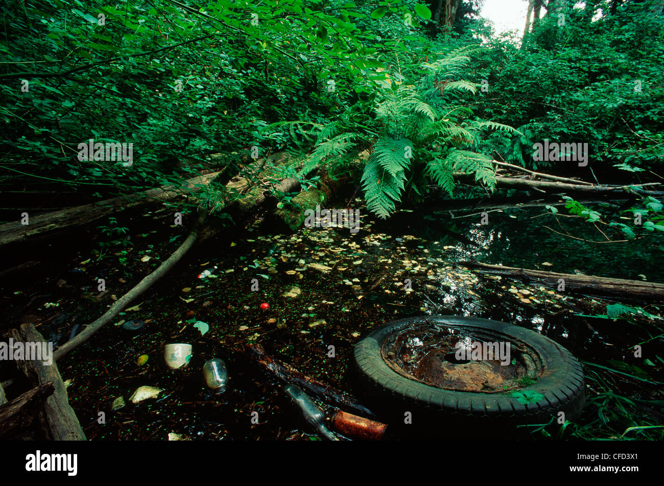 Pollution - urban litter in small creek, British Columbia, Canada Stock ...