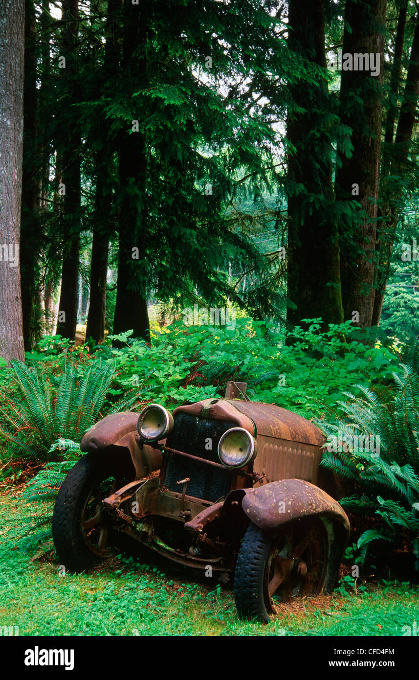 Sayward - rusted antique car at Cable House cafe, Vancouver Island ...