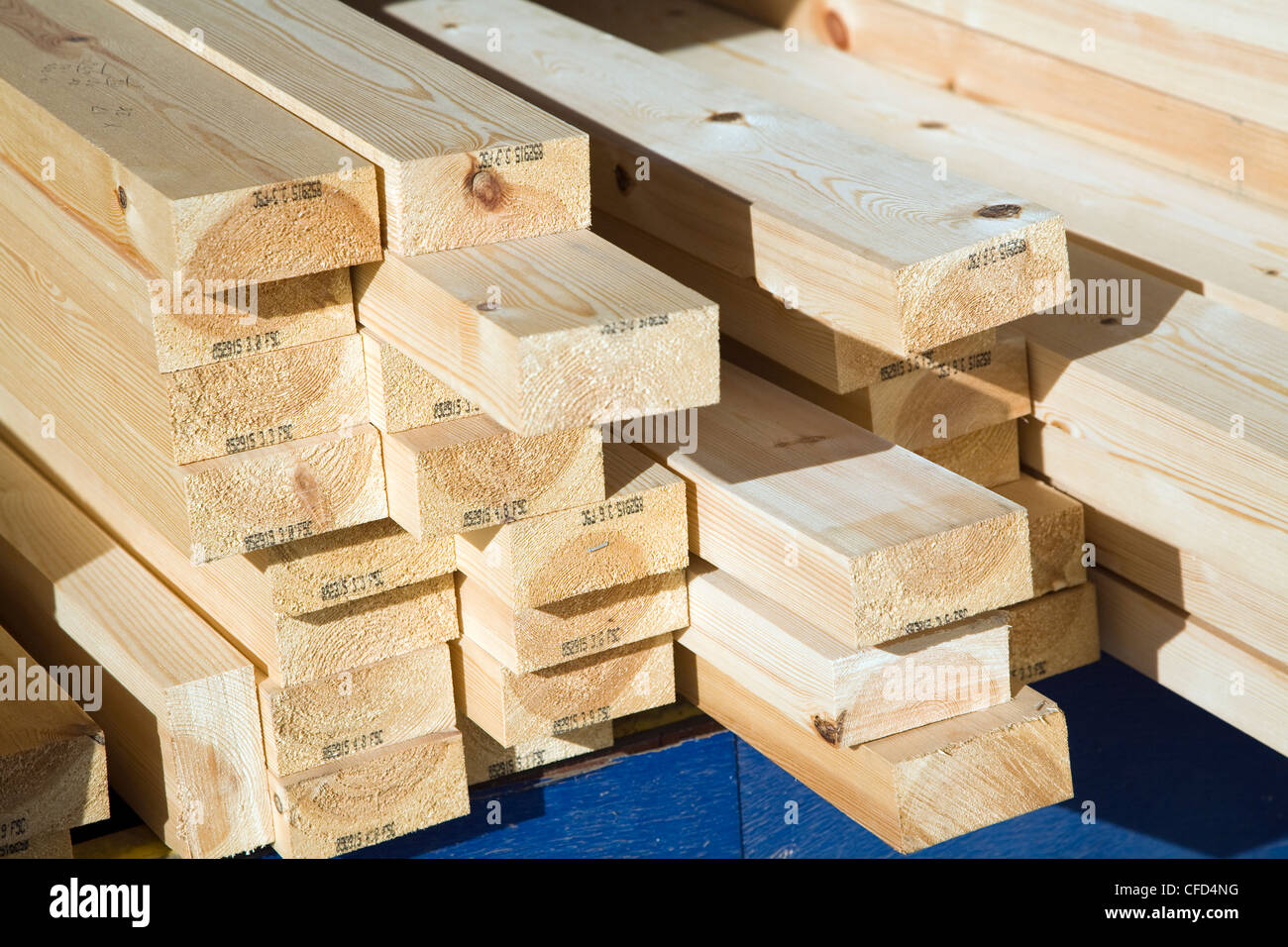 Ends of wooden planks in builder's yard Stock Photo - Alamy