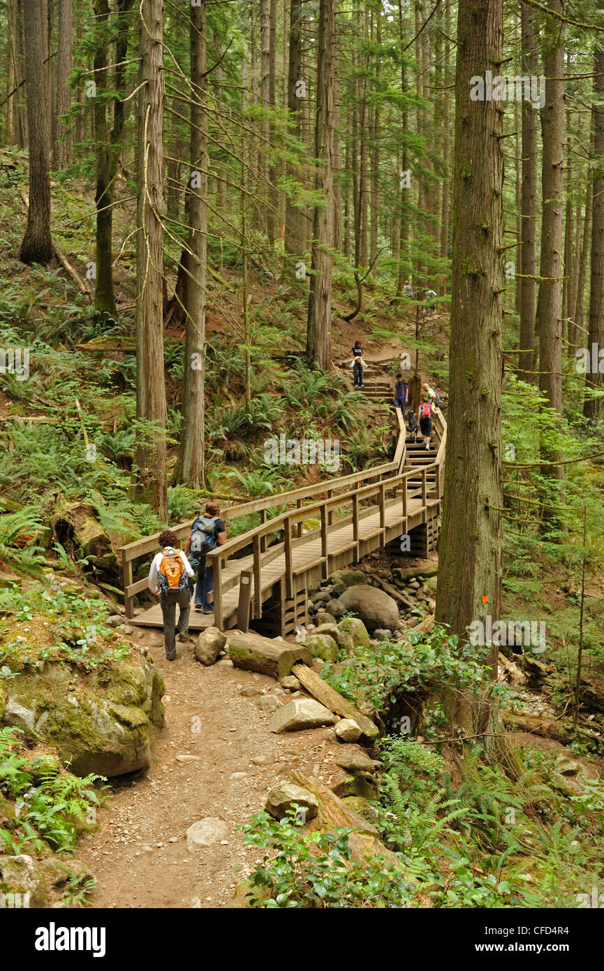 Baden-Powell Trail near Deep Cove, North Vancouver, British Columbia ...