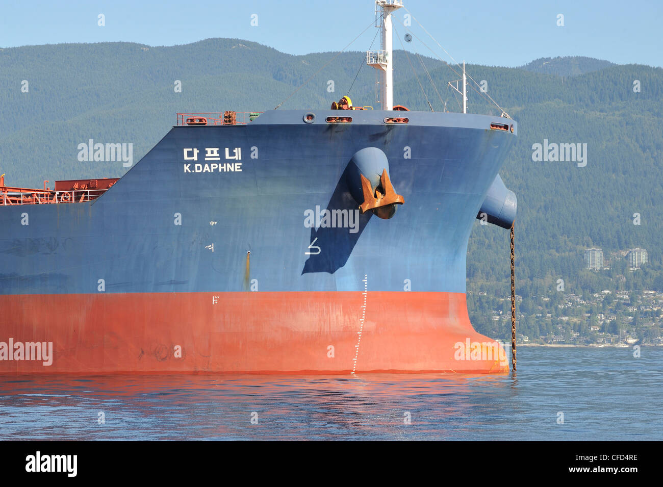 Daphne in container hi-res stock photography and images - Alamy