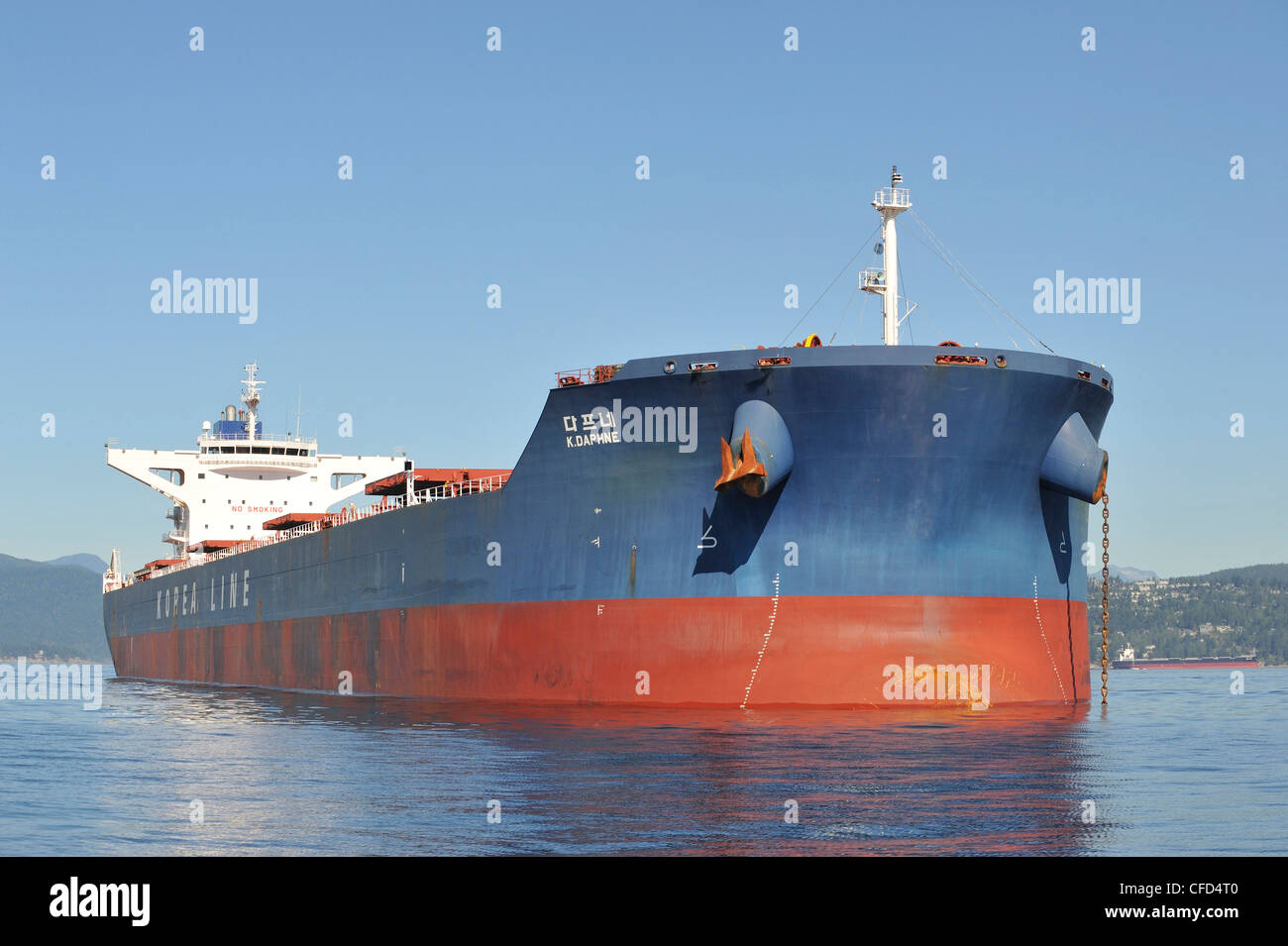 Daphne in container hi-res stock photography and images - Alamy