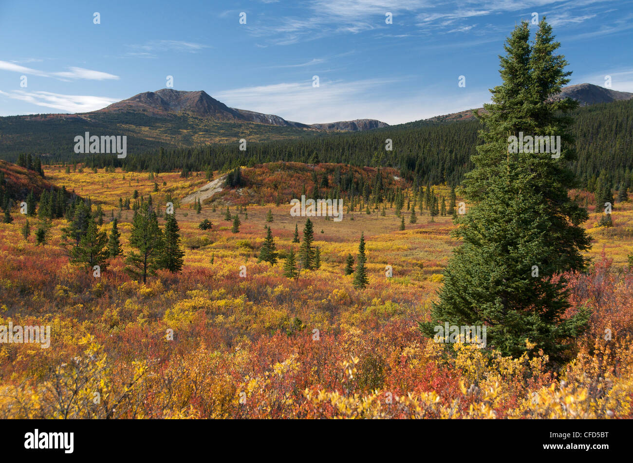 Scenic of autumn tundra and boreal forest along Canol Road in Yukon ...
