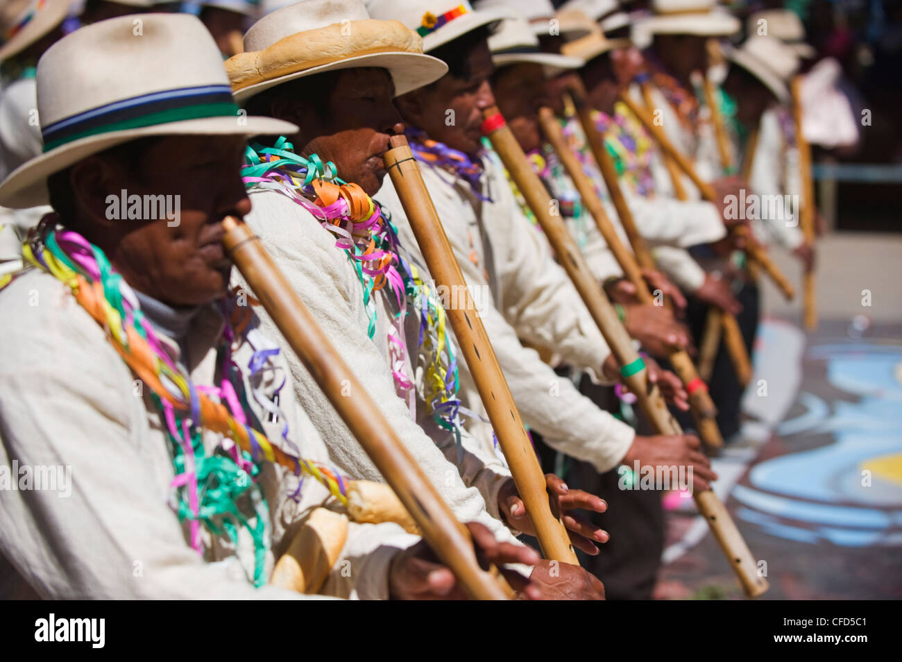 Anata andina hi-res stock photography and images - Alamy
