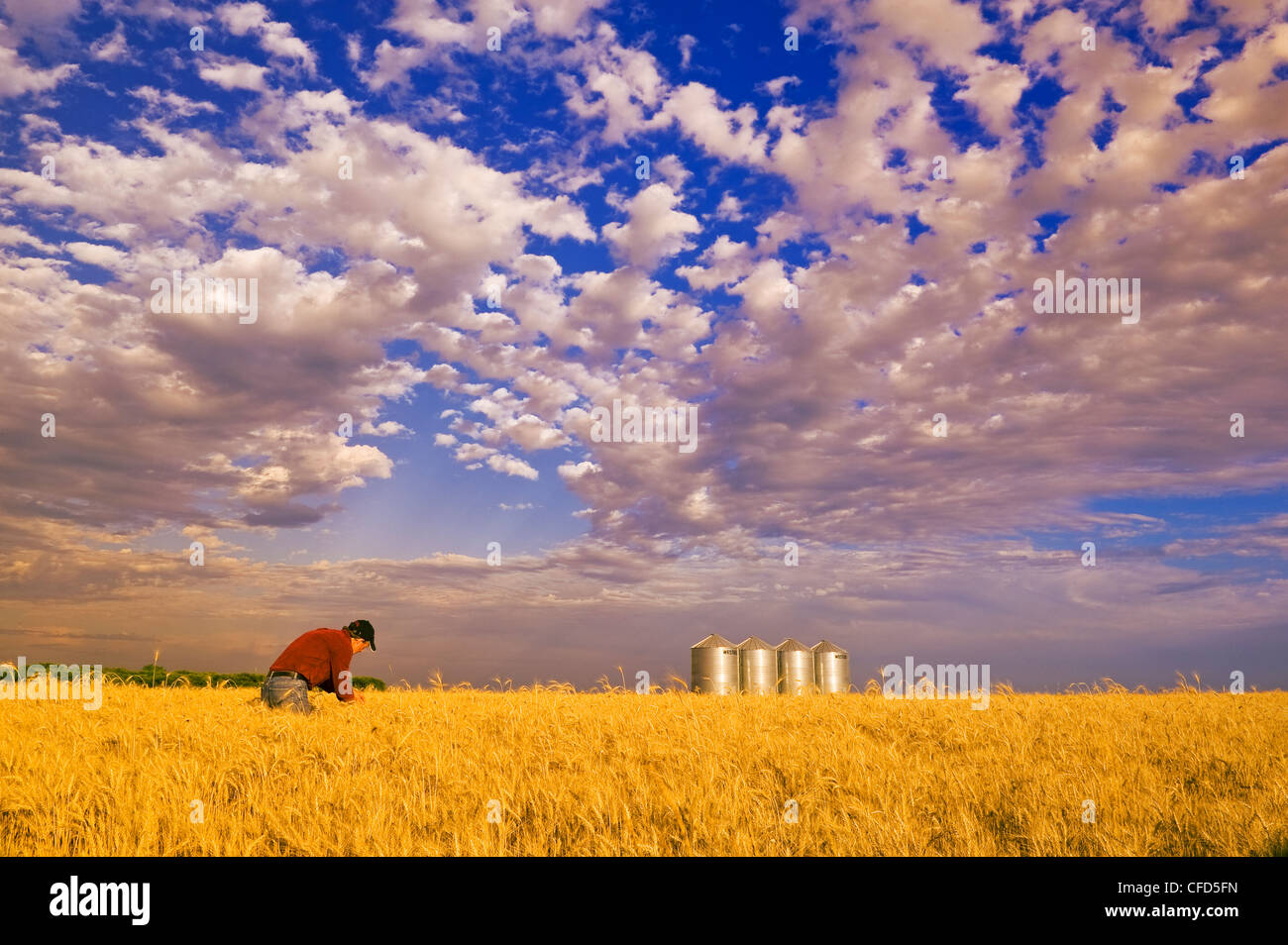 Cumulus clouds over prairie hi-res stock photography and images - Alamy