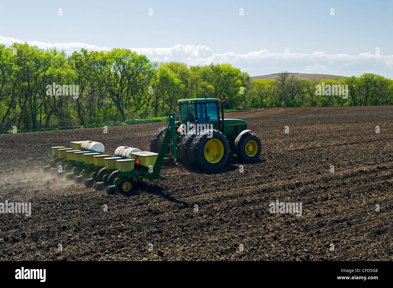 Person planting sunflower seeds hi-res stock photography and images - Alamy