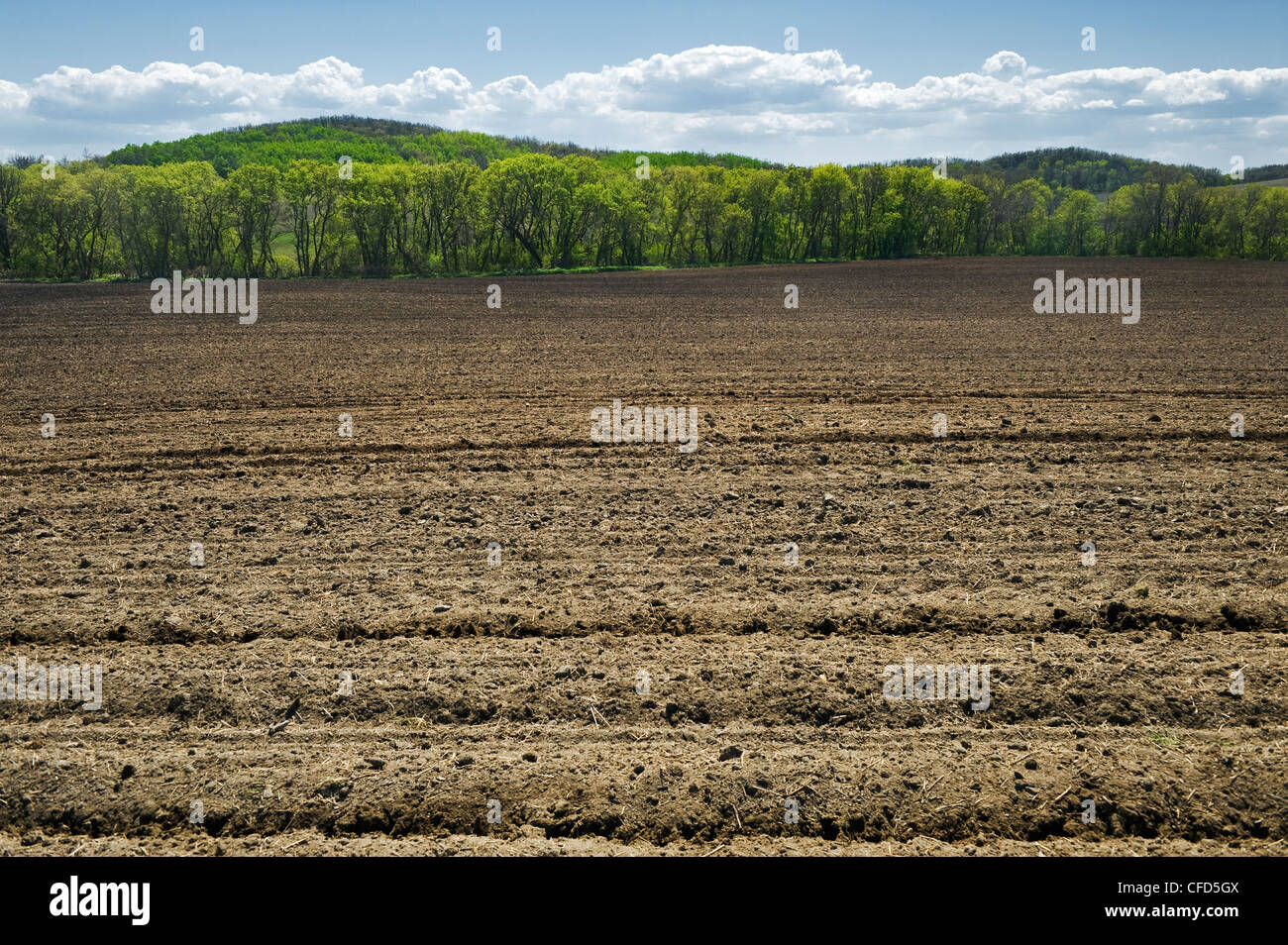 Treherne hi-res stock photography and images - Alamy