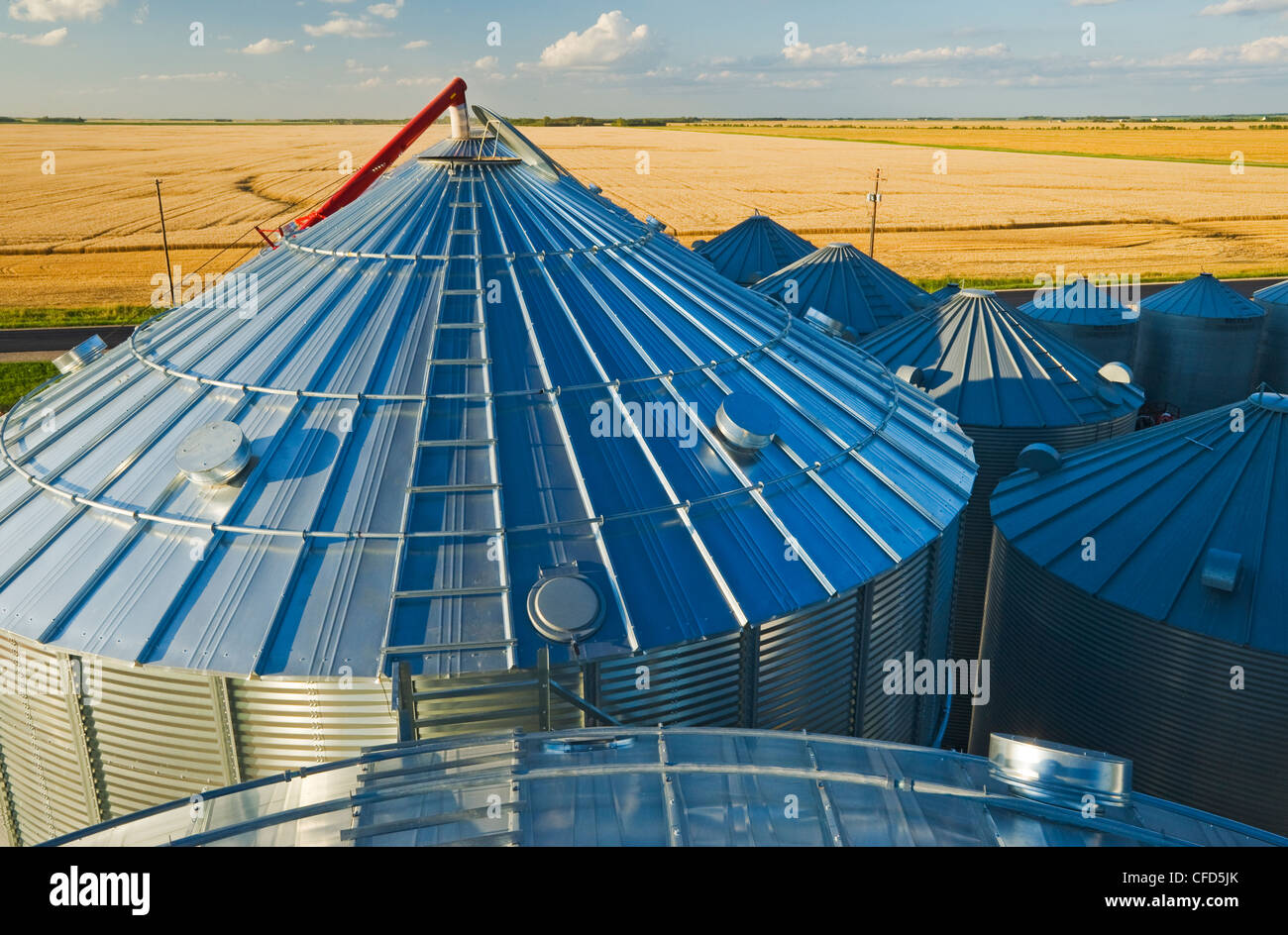 Close up of grain storage bins with wheat field in the background, near ...