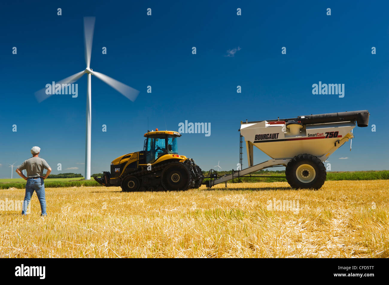 A man in harvested barley field with tractor and grain wagon, viewing ...