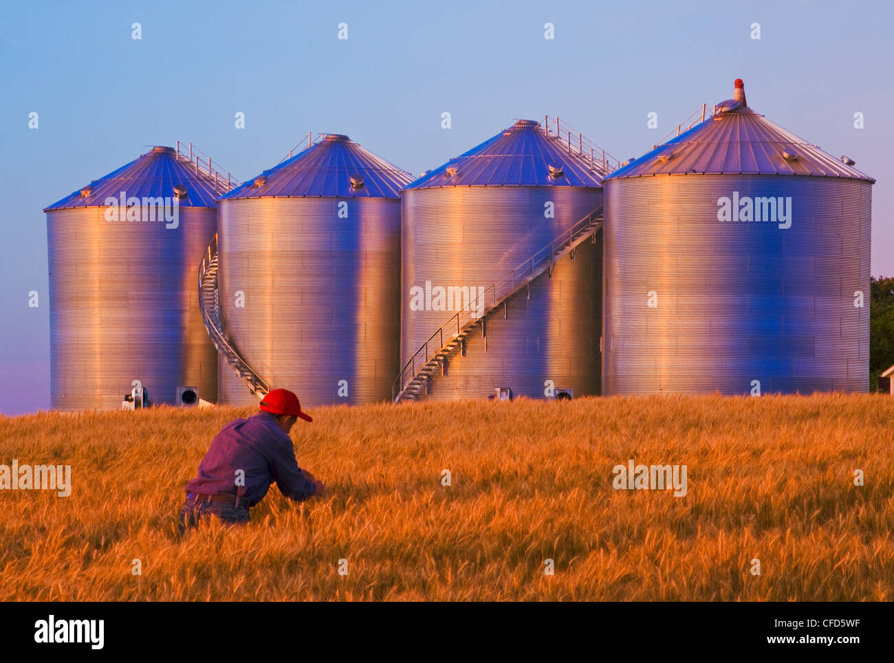 Grain Bins Reach New Heights With Brock's EVEREST® Grain Bins—the