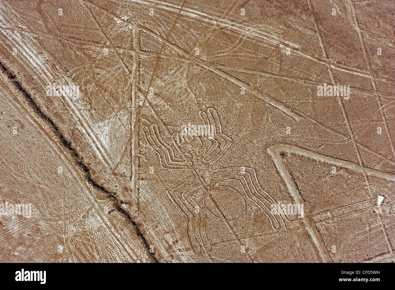 Spider, Lines and Geoglyphs of Nasca, UNESCO World Heritage Site, Peru ...