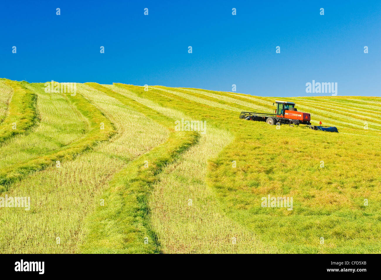 Swathing Stock Photos & Swathing Stock Images - Alamy