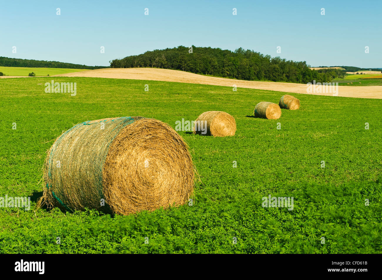 Alfalfa rolls hi-res stock photography and images - Alamy