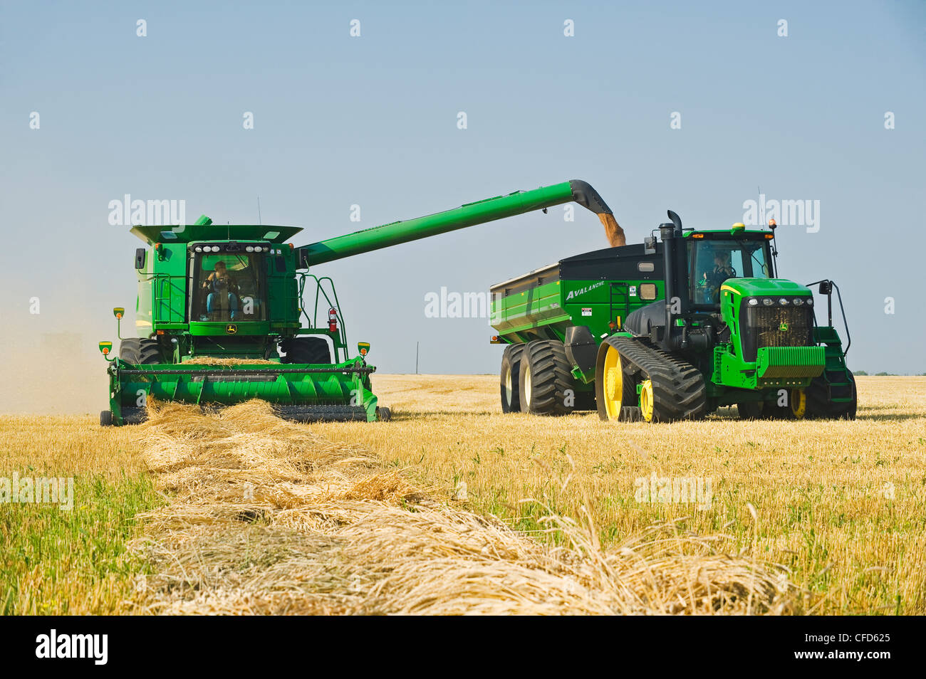 Female harvesters hi-res stock photography and images - Alamy
