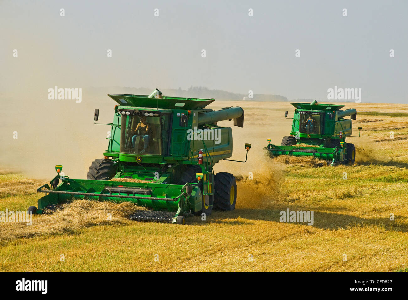 Women operating combine harvesters during the spring wheat harvest near ...