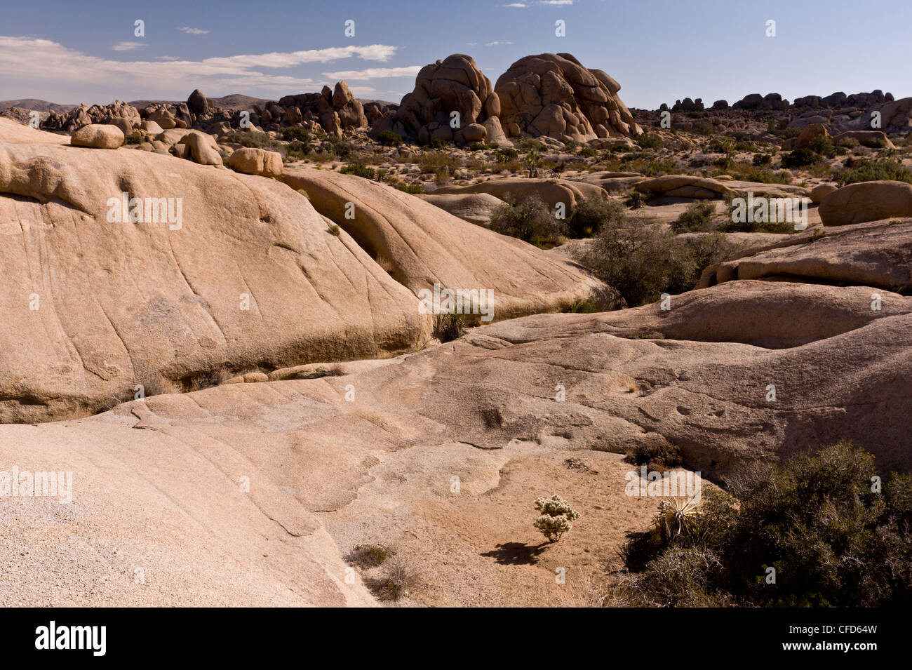 Granite desert landscape in Joshua Tree National Park; California, USA ...