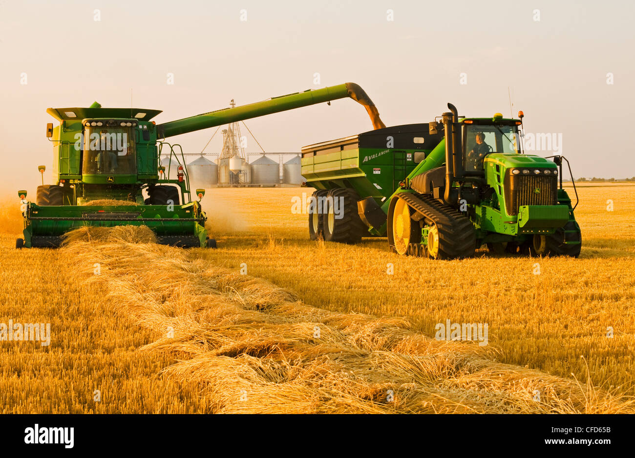 Female heavy equipment operator hi-res stock photography and images - Alamy
