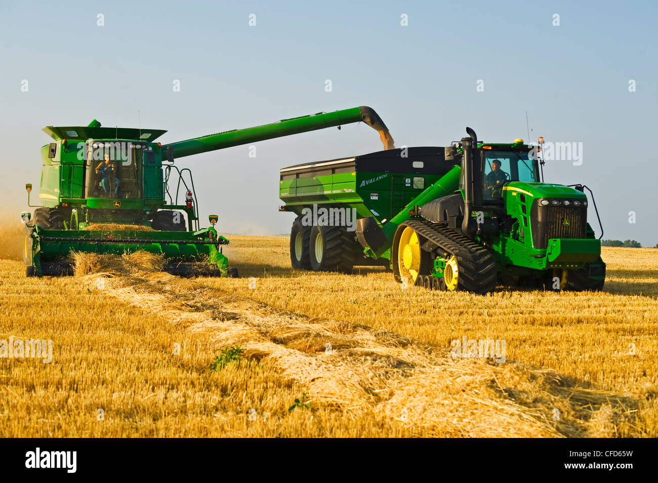 Female heavy equipment operator hi-res stock photography and images - Alamy