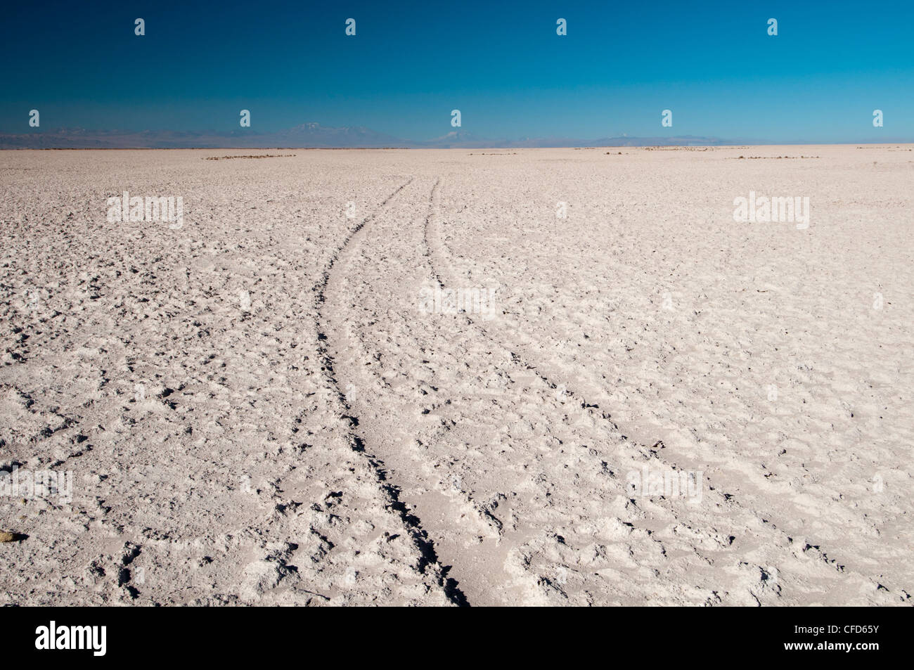 Salt crust, Salar de Atacama, Atacama Desert, Chile, South America ...
