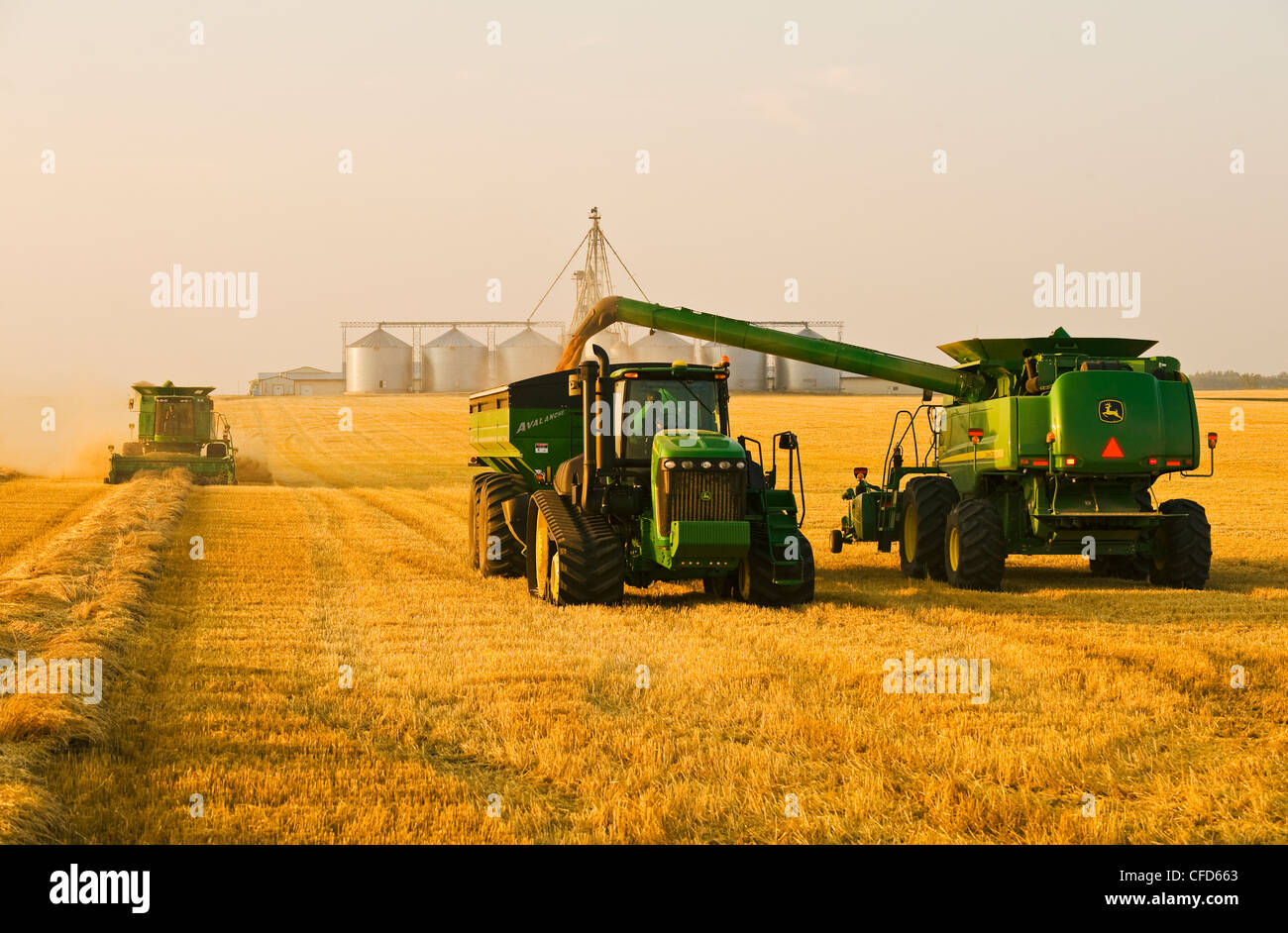 A combine operator unloads into a grain wagon, near Somerset, Manitoba ...