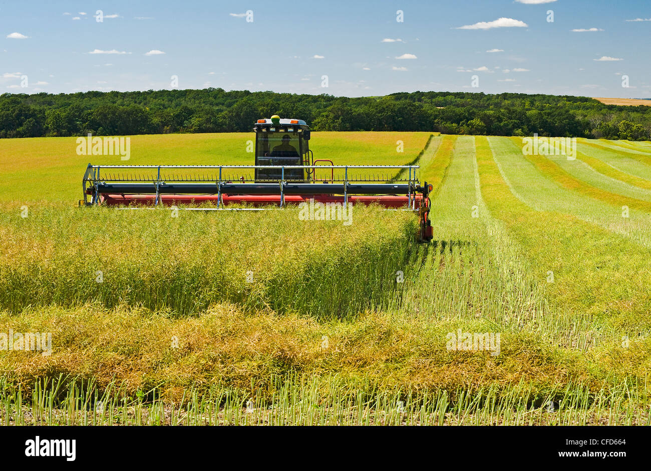 Swath swather hi-res stock photography and images - Alamy