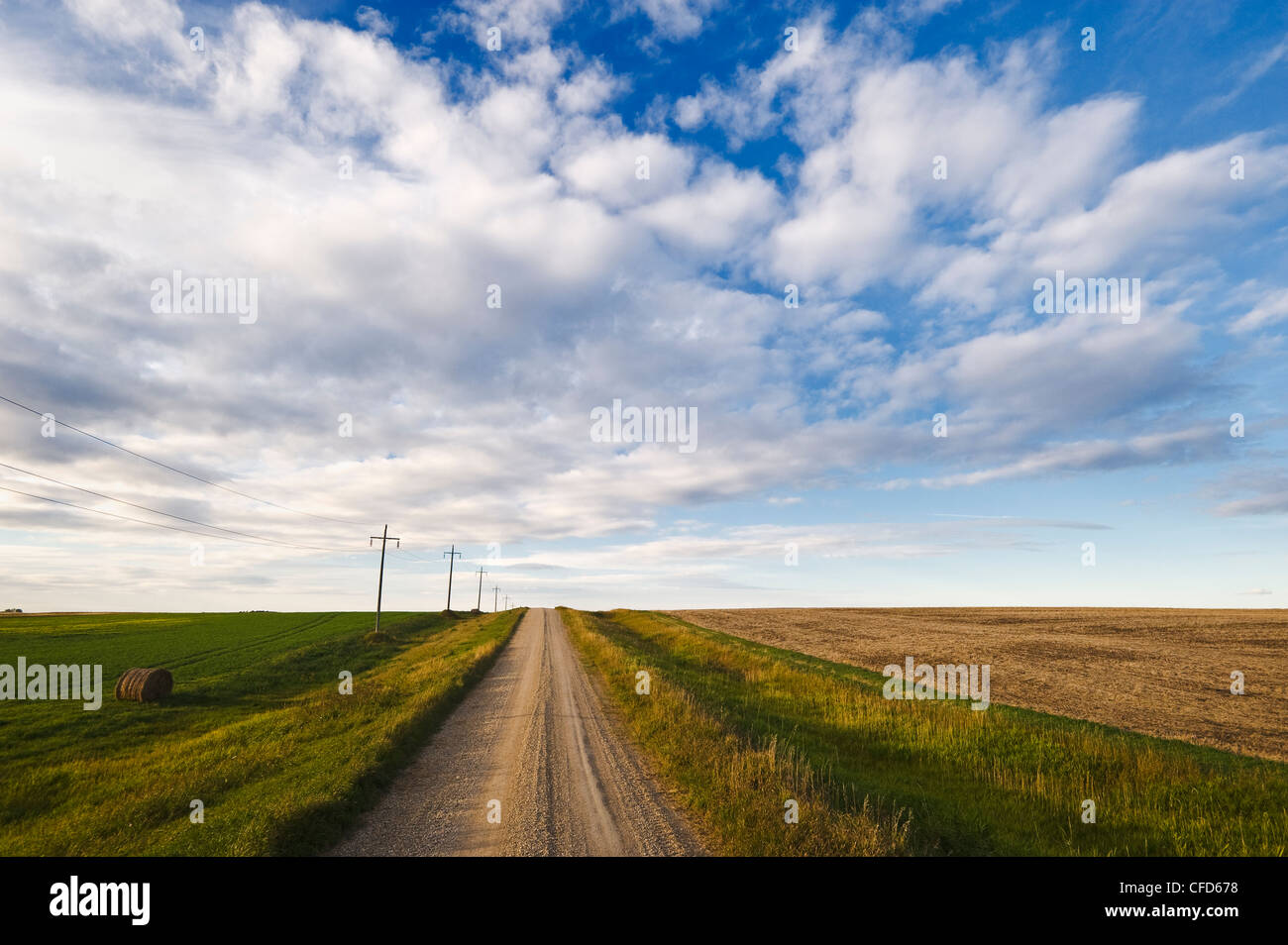 Road through farmland, Tiger Hills, Manitoba, Canada Stock Photo - Alamy