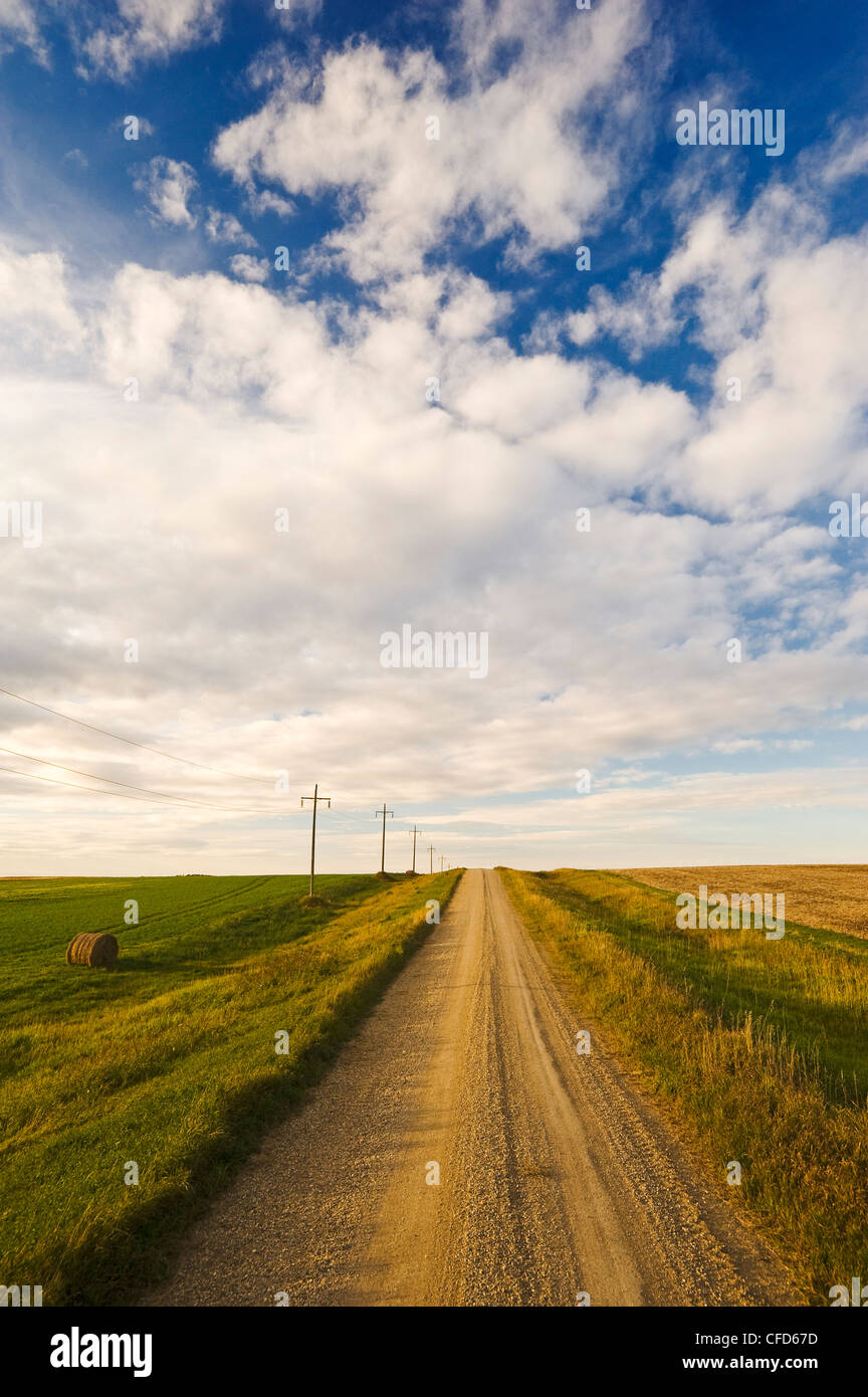 Road through farmland, Tiger Hills, Manitoba, Canada Stock Photo - Alamy