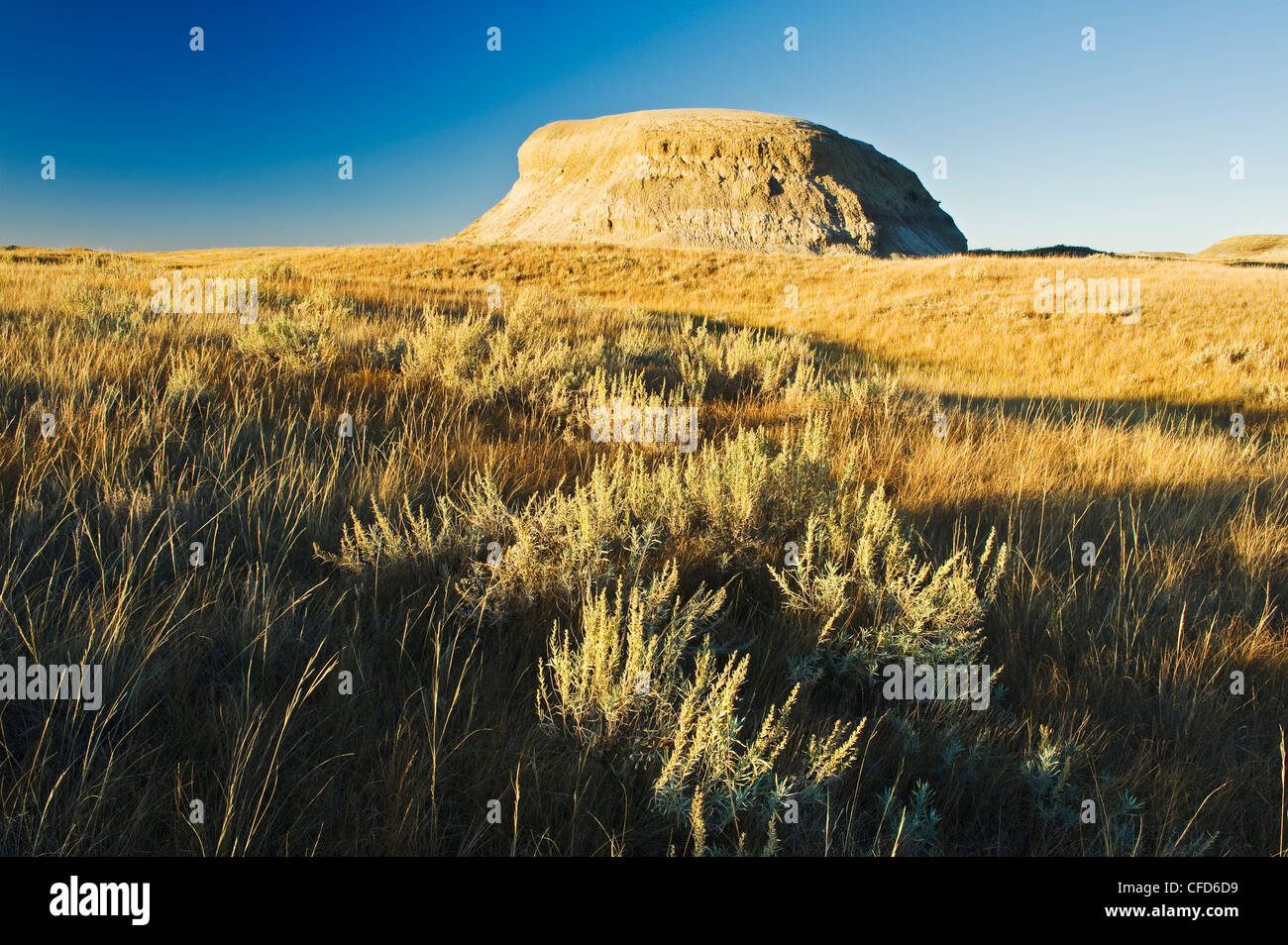 Sage grasslands hi-res stock photography and images - Alamy