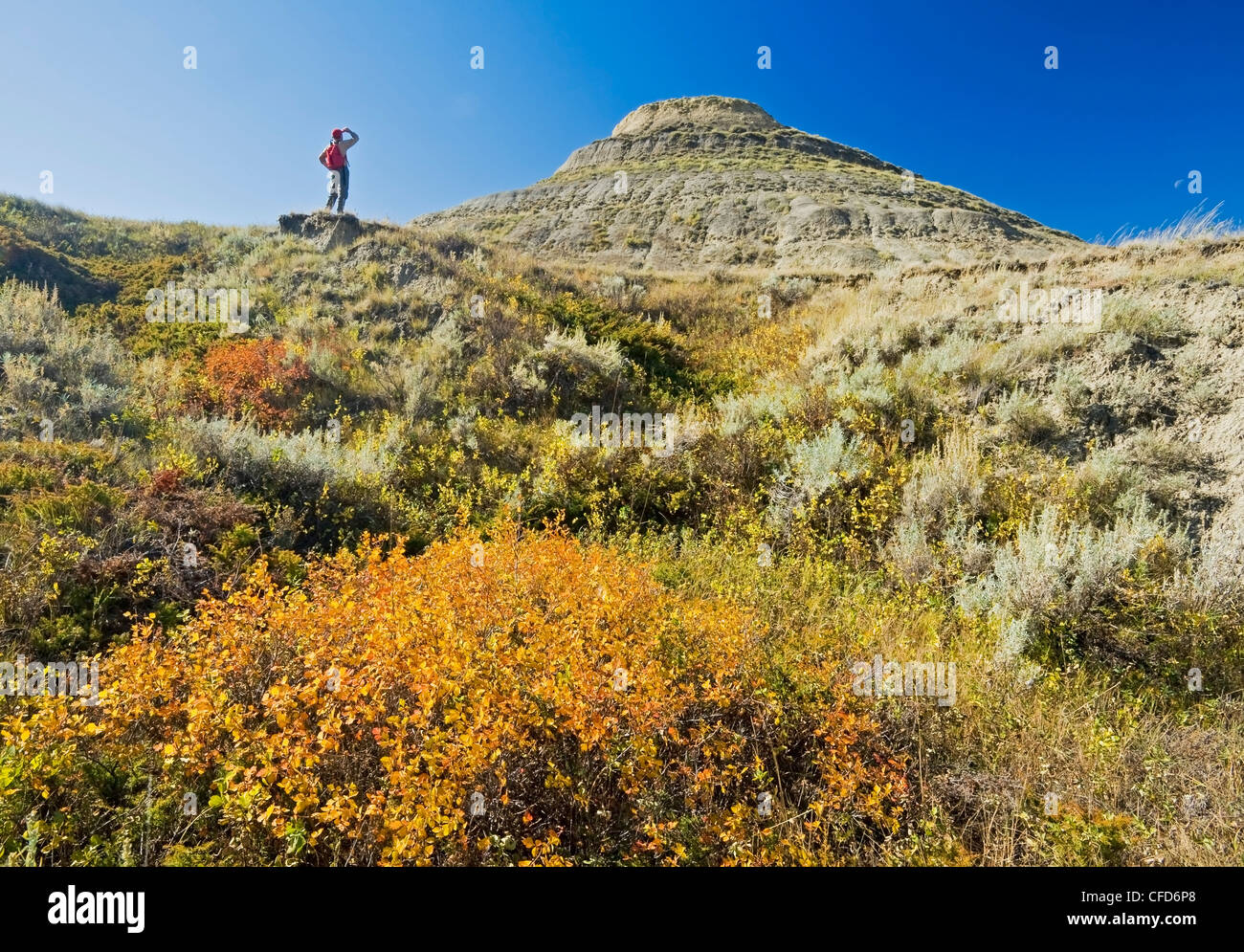 Killdeer Badlands, East Block, Grasslands National Park, Saskatchewan ...