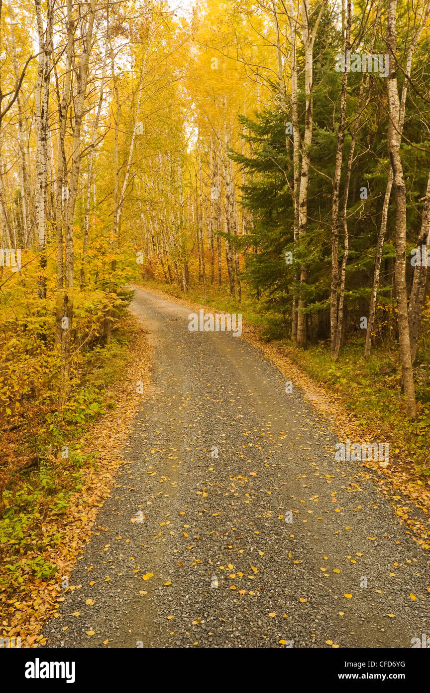 Near changes hi-res stock photography and images - Alamy