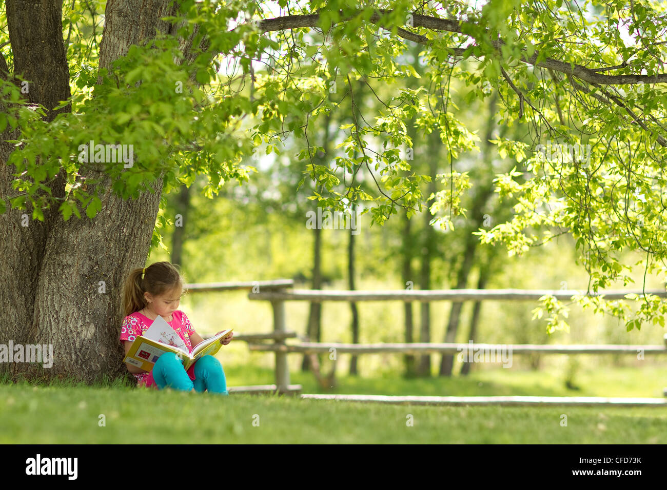 Girl reading a book sitting under a tree hi-res stock photography and ...