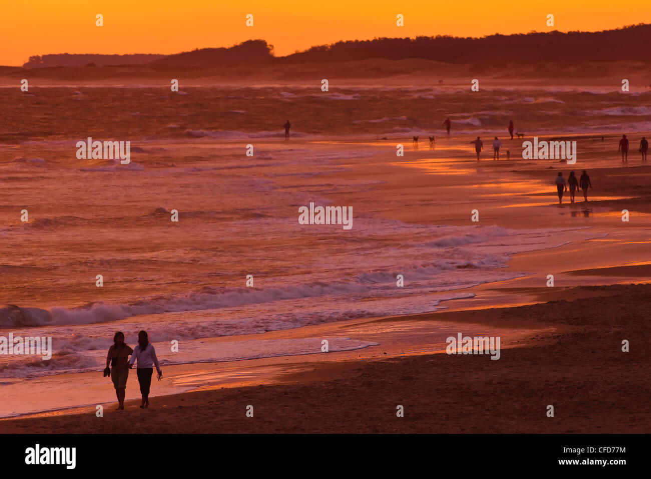 La paloma uruguay hi-res stock photography and images - Alamy