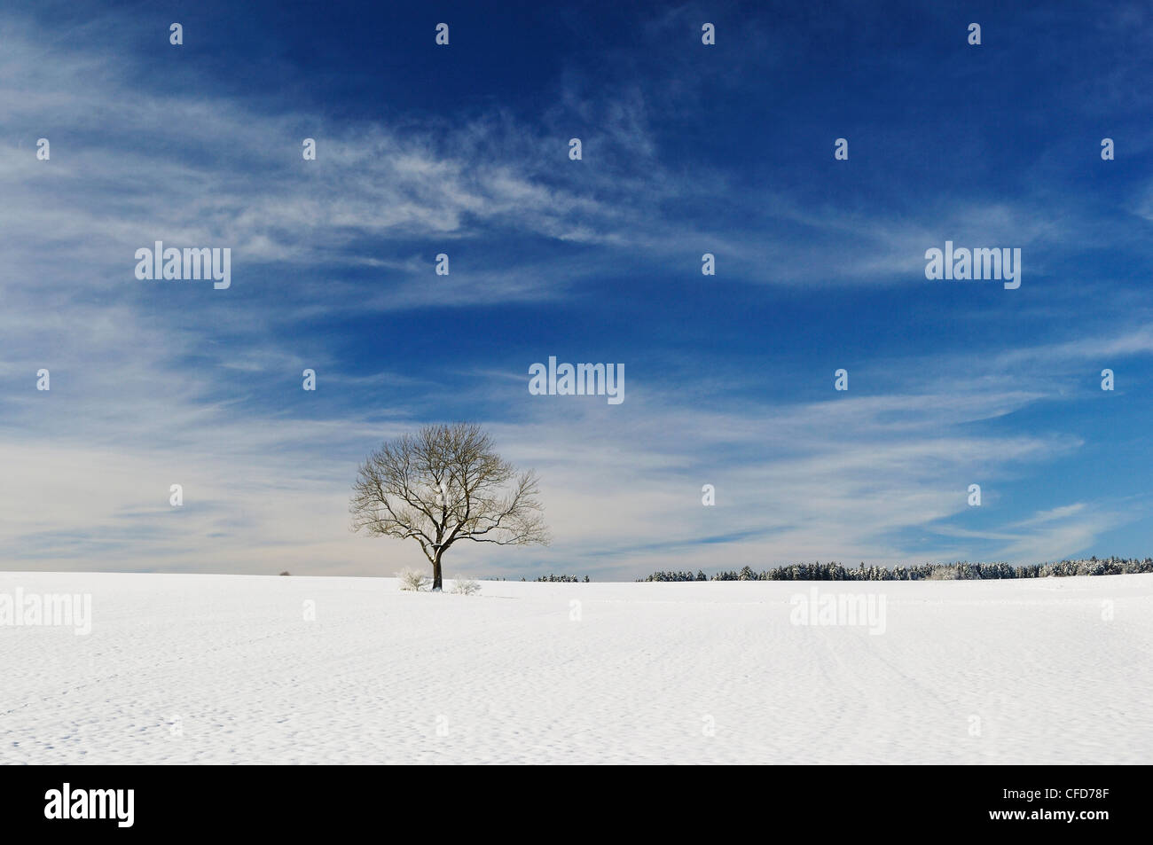 Black forest baar district hi-res stock photography and images - Alamy