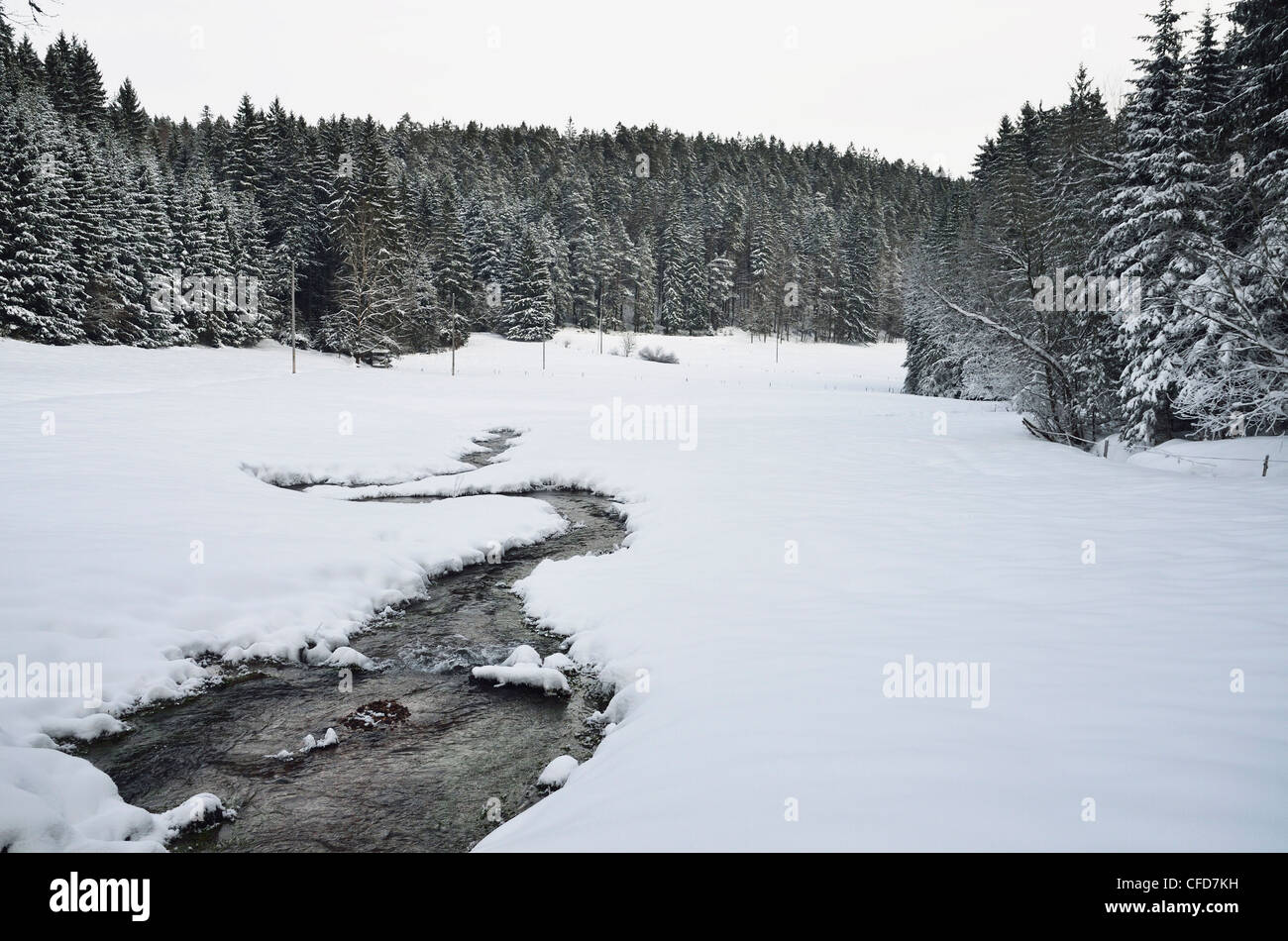 Winter landscape, near Koenigsfeld,,Forest, Baden-Wurttemberg, Germany ...