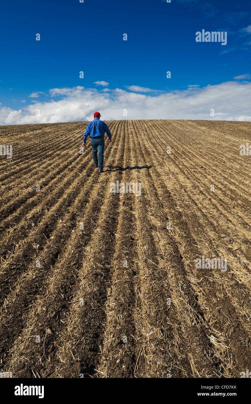 Seeded brown fields hi-res stock photography and images - Alamy
