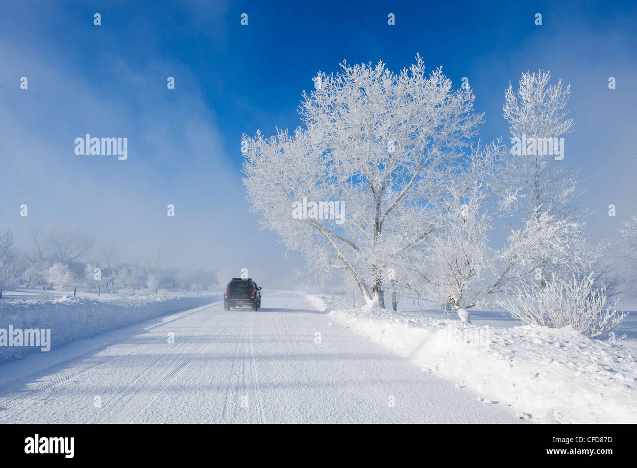 Saskatchewan country road in winter hi-res stock photography and images ...
