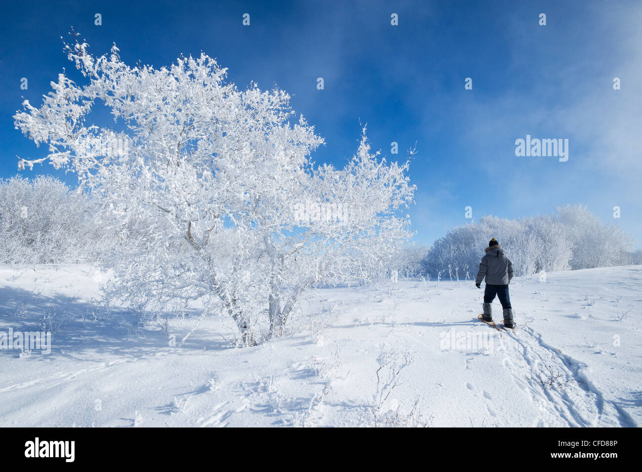 Estevan saskatchewan hi-res stock photography and images - Alamy