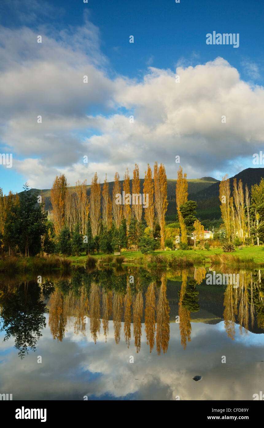 Rural scene, Maydena, Tasmania, Australia, Pacific Stock Photo - Alamy