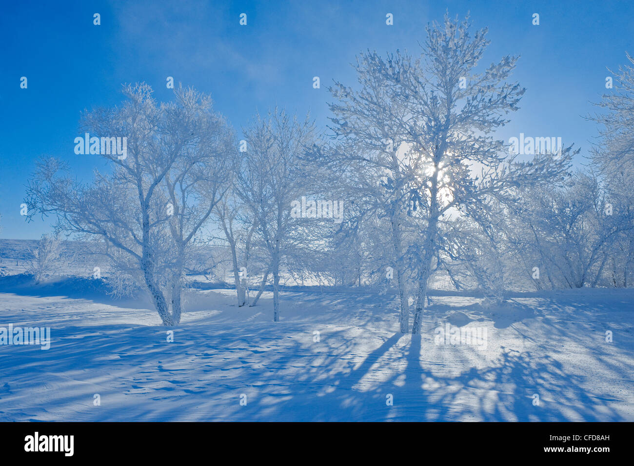 Estevan saskatchewan hi-res stock photography and images - Alamy