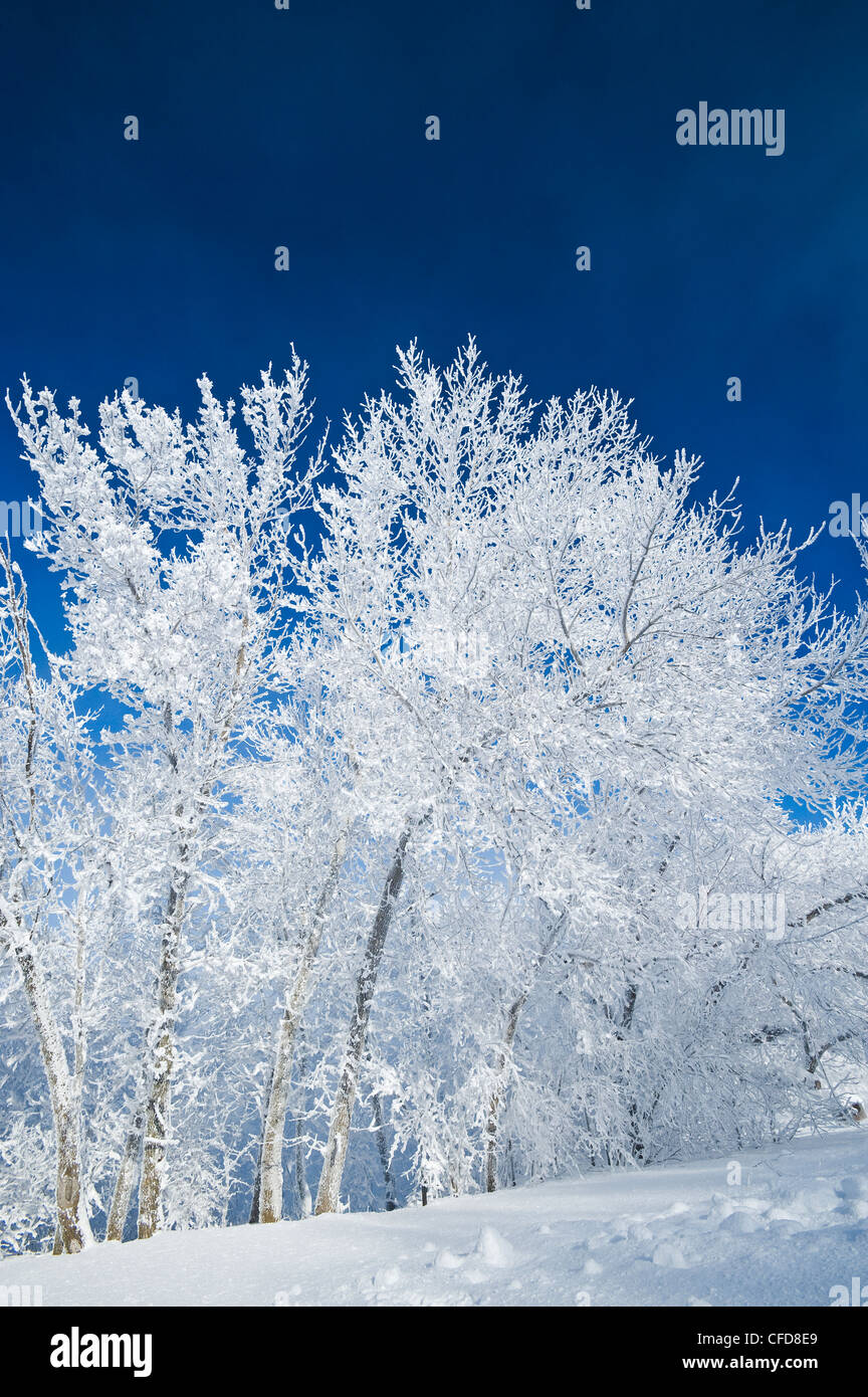 Estevan saskatchewan hi-res stock photography and images - Alamy