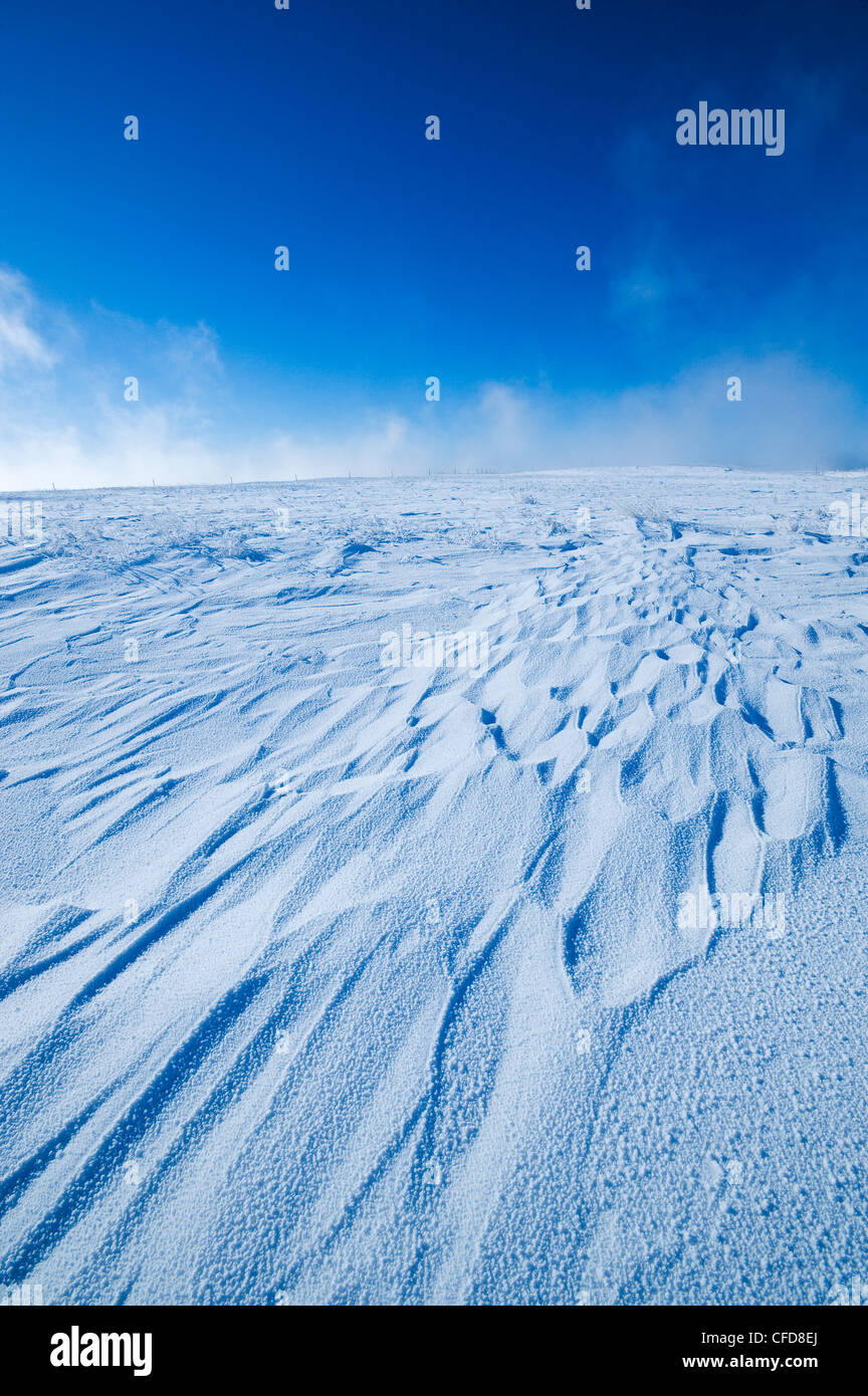 Wind caused hi-res stock photography and images - Alamy