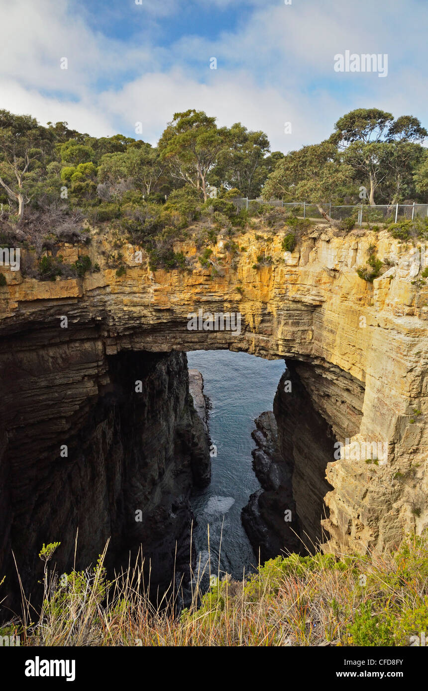 Tasman Arch, Pirates Bay, Tasman Peninsula, Tasmania, Australia ...