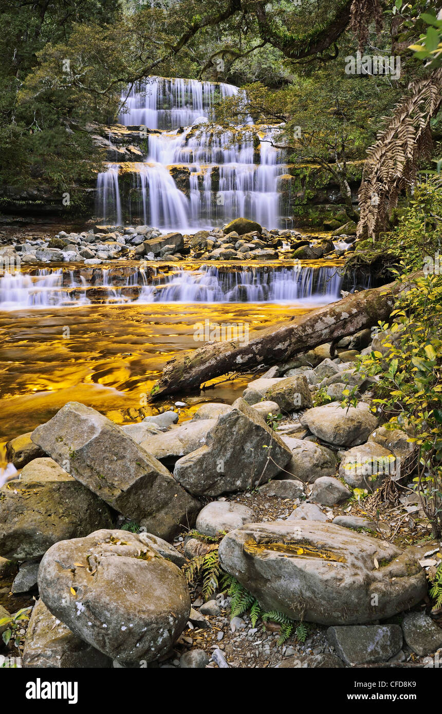 Liffey Falls, UNESCO World Heritage Site, Tasmania, Australia, Pacific ...