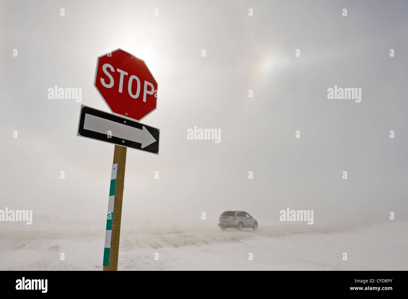 Blizzard [prairies winter storm] hi-res stock photography and images ...