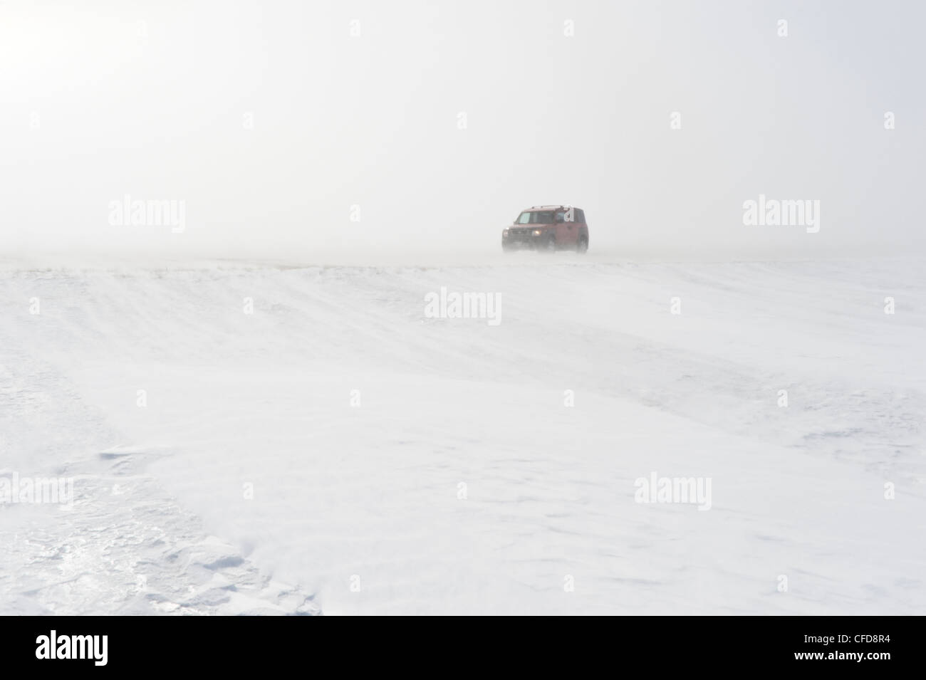 Blizzard [prairies winter storm] hi-res stock photography and images ...