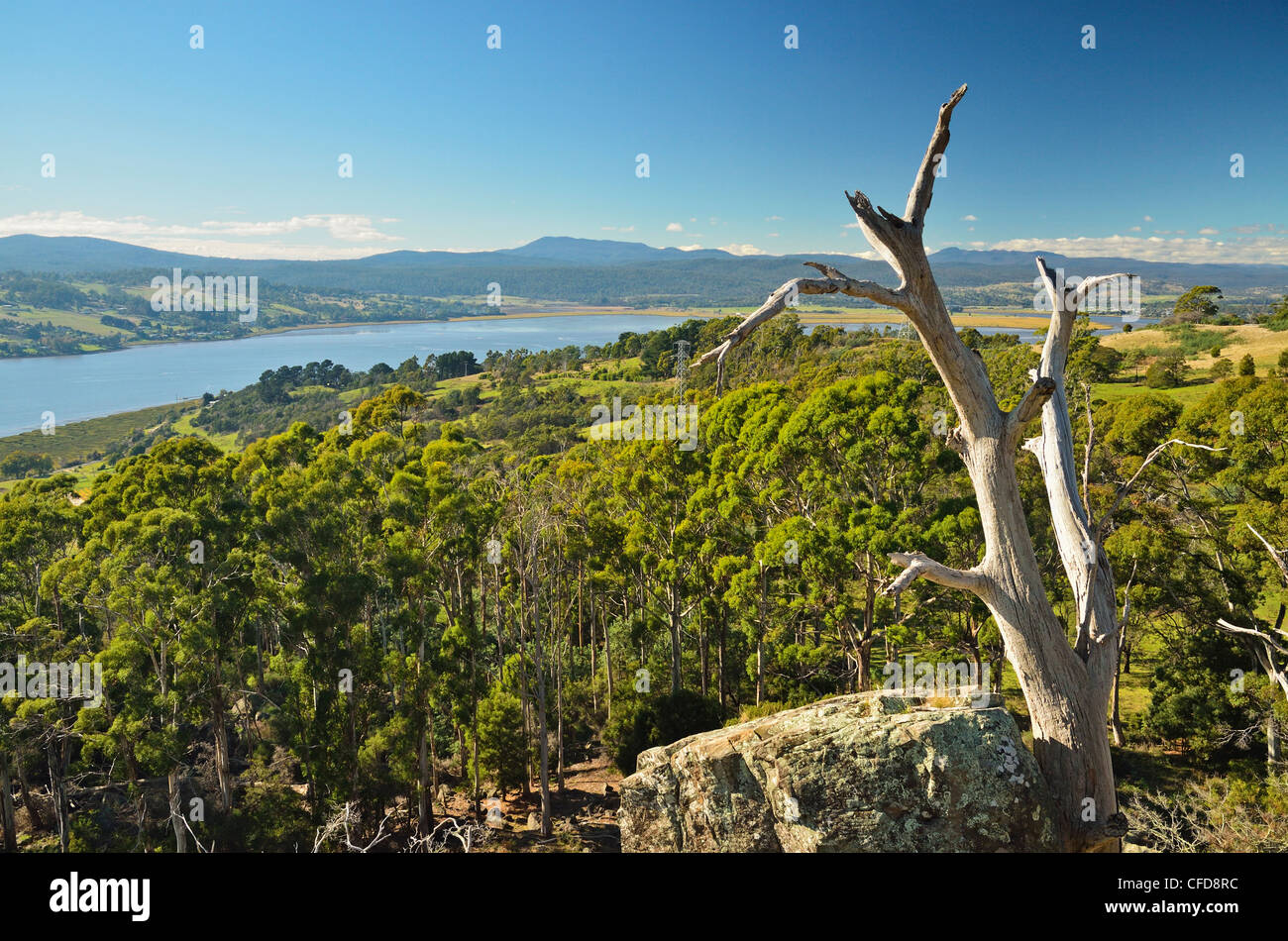 Tamar valley hi-res stock photography and images - Alamy