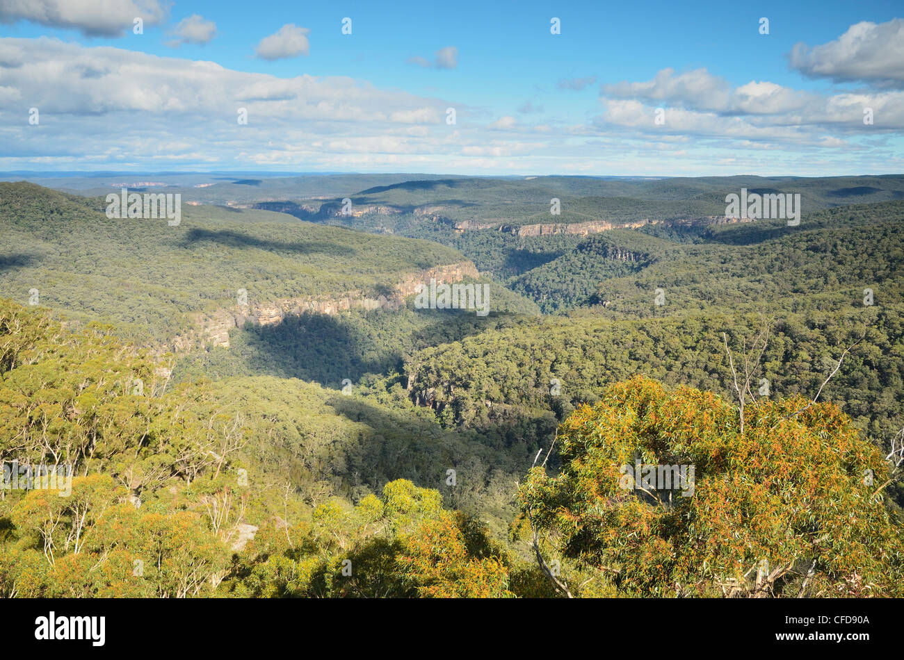 Morton park hi-res stock photography and images - Alamy