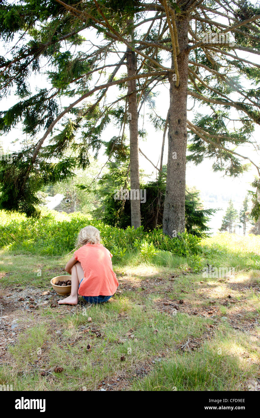 Girl collecting cone hi-res stock photography and images - Alamy